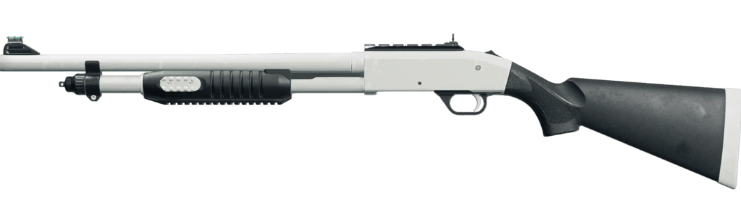 Unleashed: Top 21 Shotguns DOMINATING Warzone Ranked (March 2025)